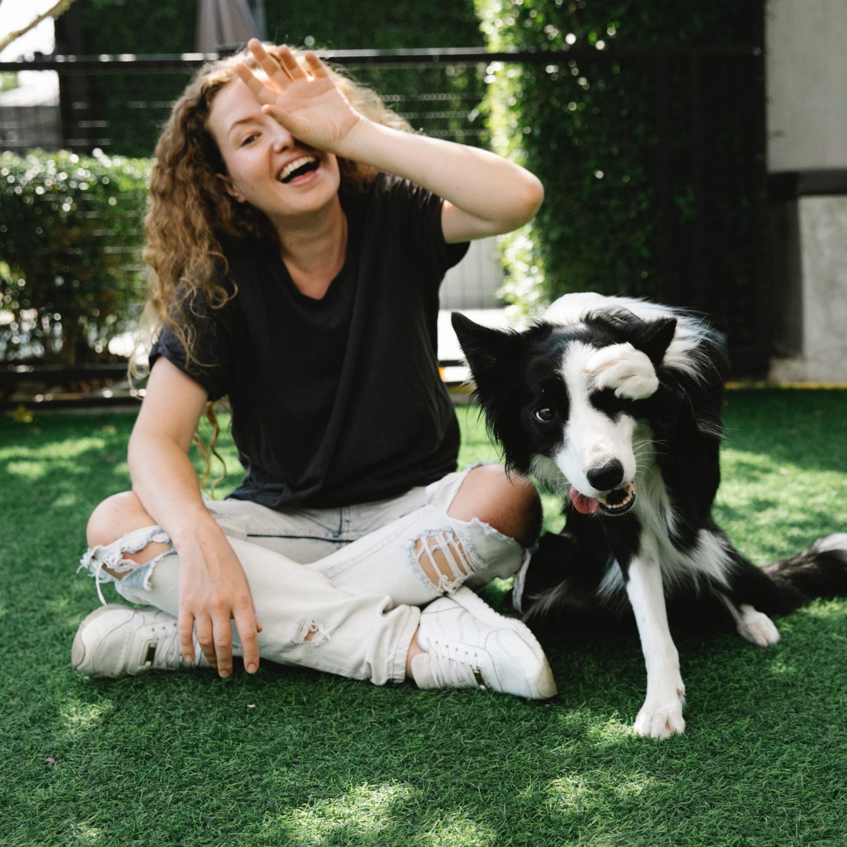 Los perros y los humanos - Ama tu mascota